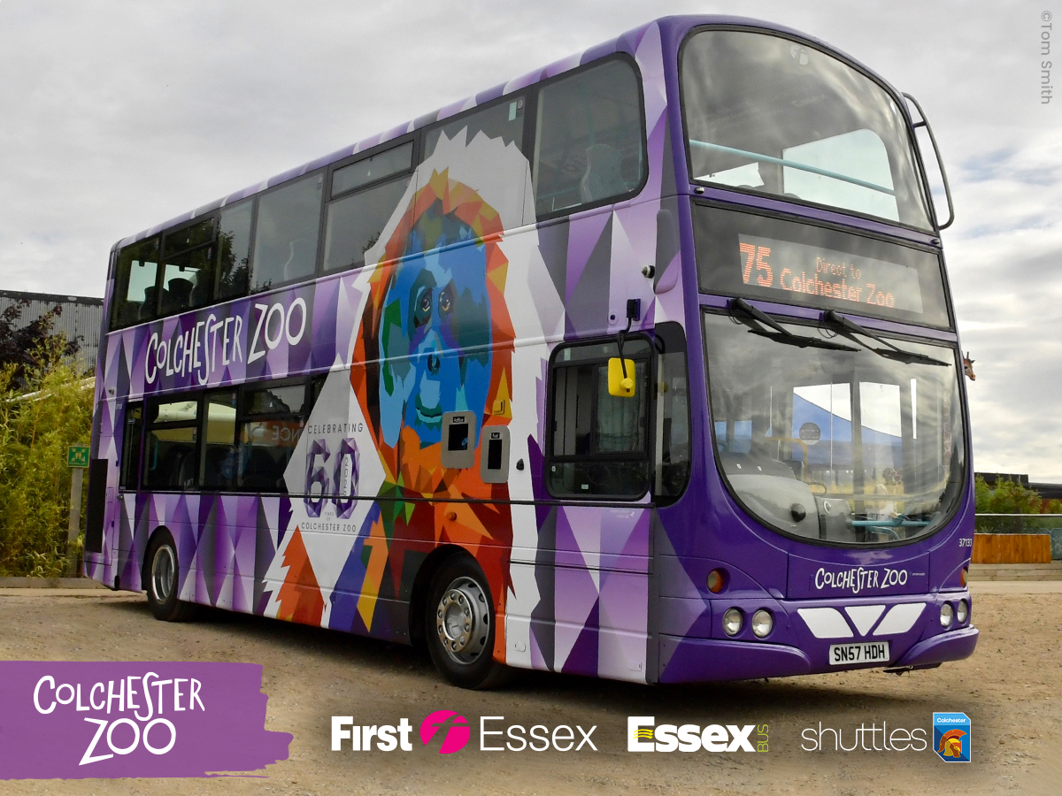 𝗙𝗜𝗥𝗦𝗧 𝗘𝗦𝗦𝗘𝗫 𝗖𝗘𝗟𝗘𝗕𝗥𝗔𝗧𝗘𝗦 𝗖𝗢𝗟𝗖𝗛𝗘𝗦𝗧𝗘𝗥 𝗭𝗢𝗢𝗦 𝗕𝗜𝗚 𝗕𝗜𝗥𝗧𝗛𝗗𝗔𝗬 𝗕𝗔𝗦𝗛 𝗙𝗥𝗜𝗗𝗔𝗬 𝟮𝗡𝗗 𝗝𝗨𝗡𝗘 First Bus